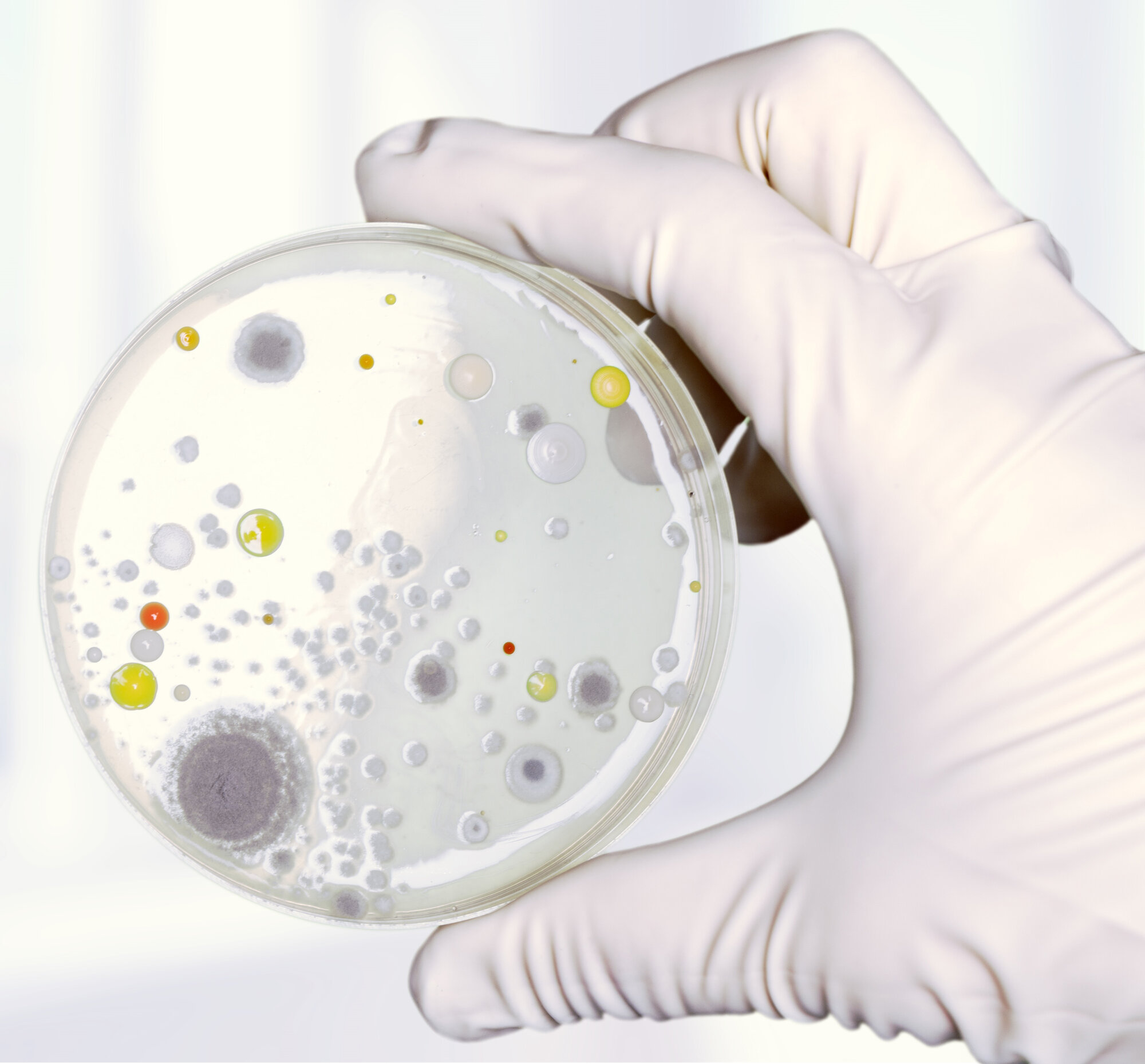 Indoor air hygiene : ionair ag